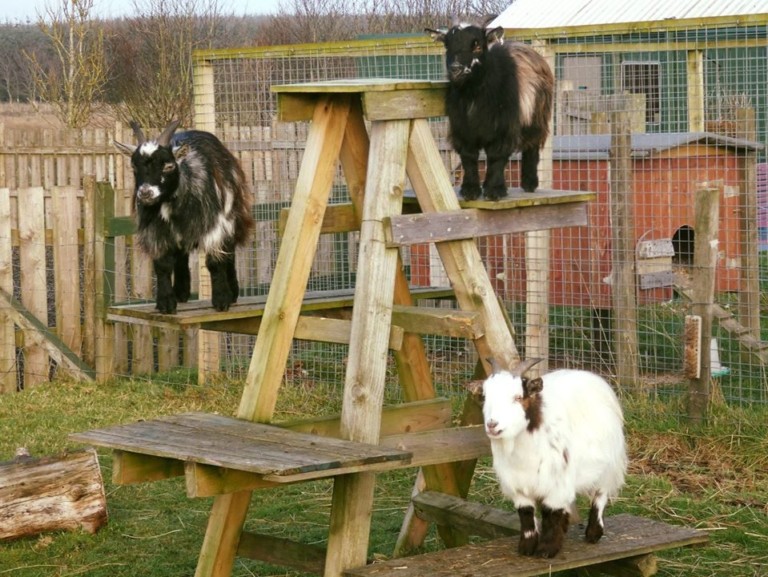 Countrymen UK Network - Countrymen UK